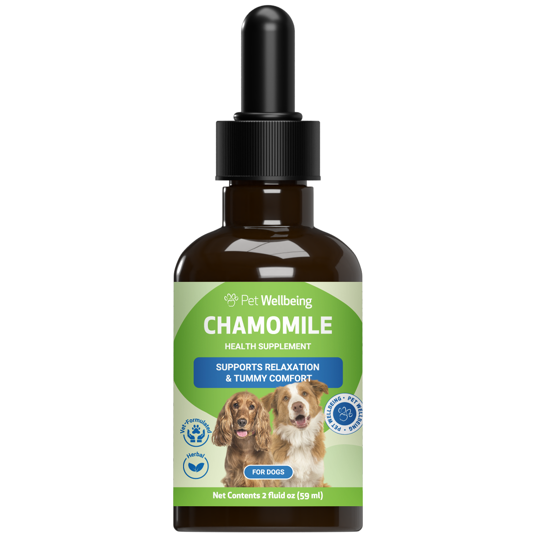 Chamomile - Supports a Healthy Calm and Digestive Function in Dogs ...