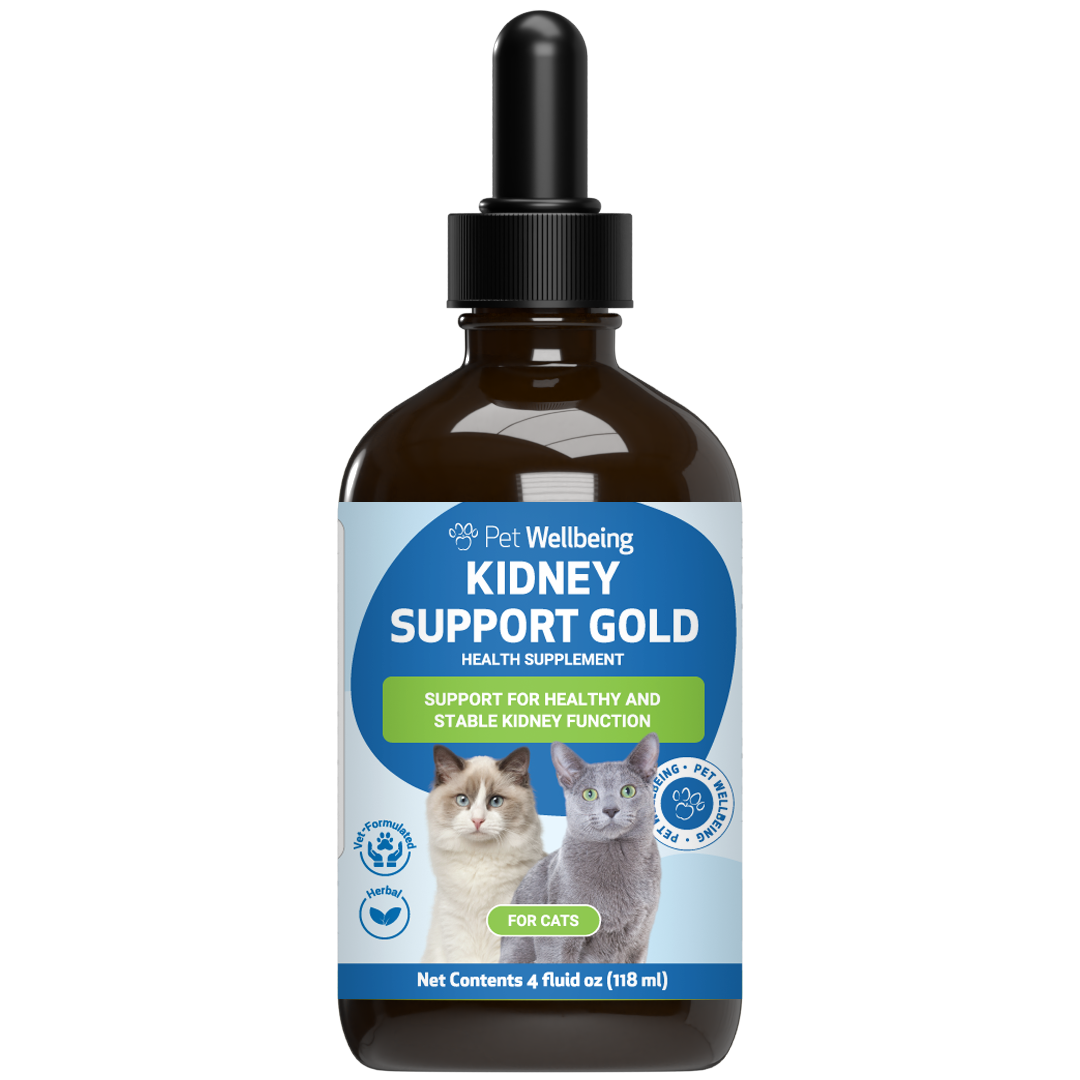 Kidney Support Gold - for Healthy Kidney Function in Cats | Pet ...