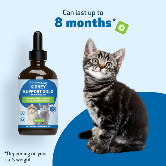 Kidney Support Gold - for Healthy Kidney Function in Cats | Pet ...