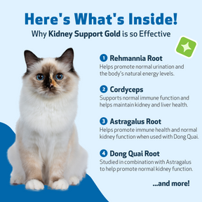 Kidney Support Gold - for Healthy Kidney Function in Cats | Pet ...