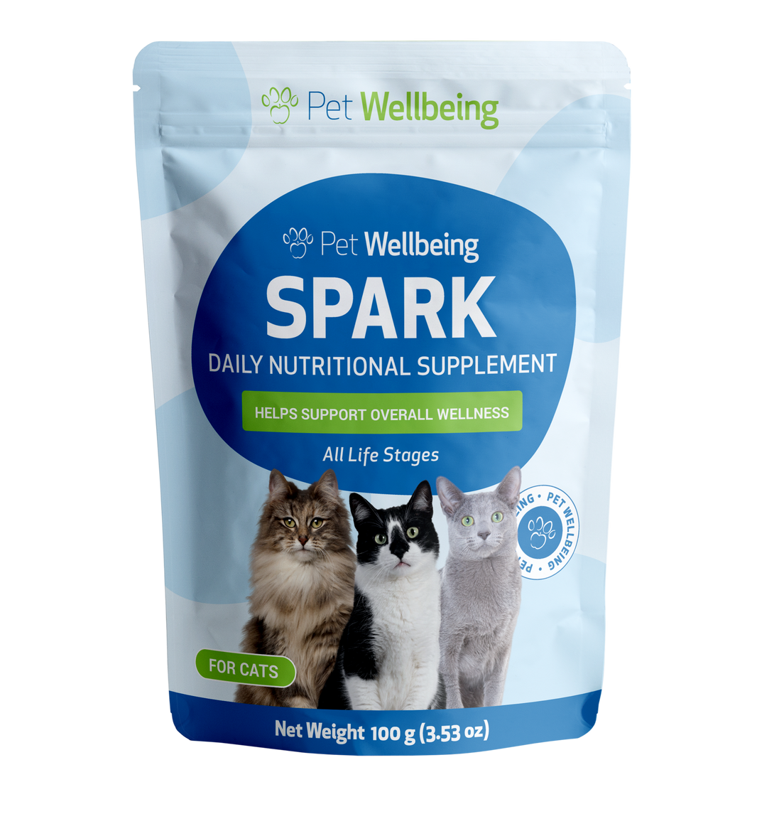 Natural Holistic Pet Supplements | Vet-Formulated Herbal Medicine