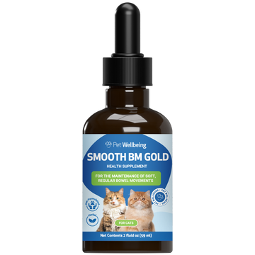 Natural Holistic Pet Supplements | Vet-Formulated Herbal Medicine